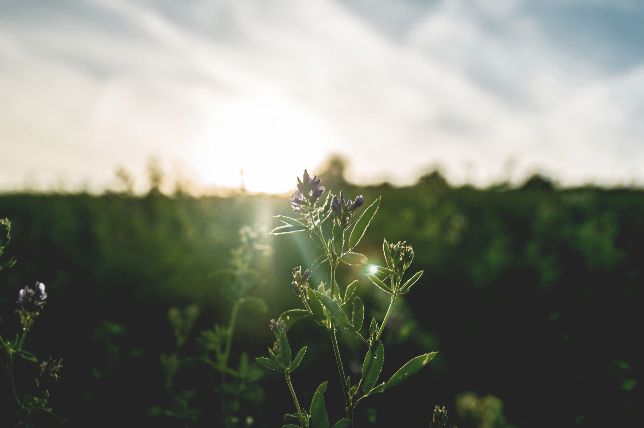 What Are The 5 Stages of Alcoholism: The Jellinek Curve