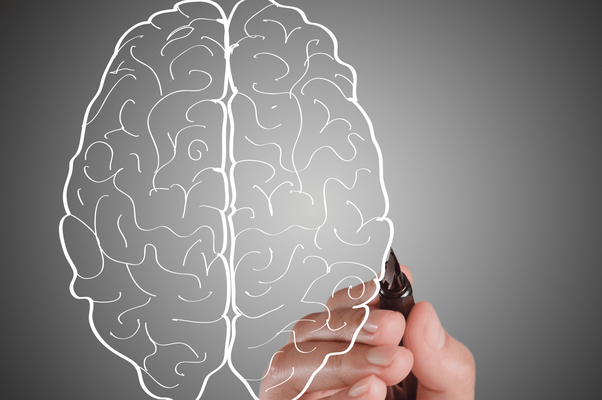 Brain Recovery From Alcohol: How Long Does It Take to Heal