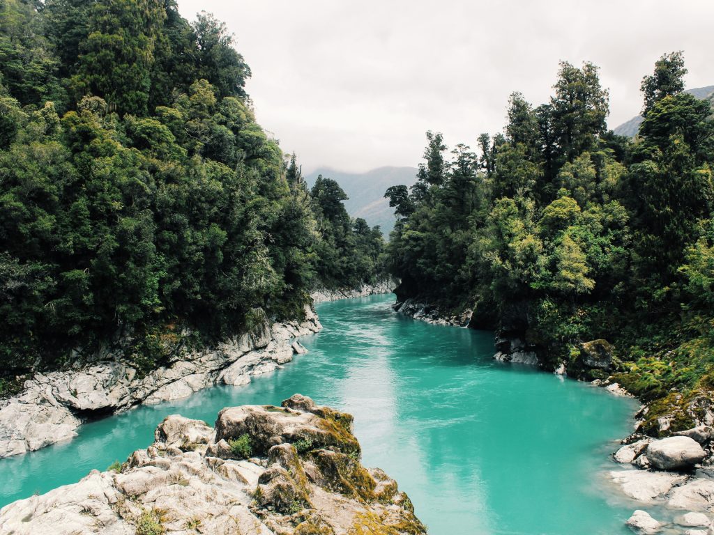 What Is Family Trauma Therapy? - Into Action Recovery Centers