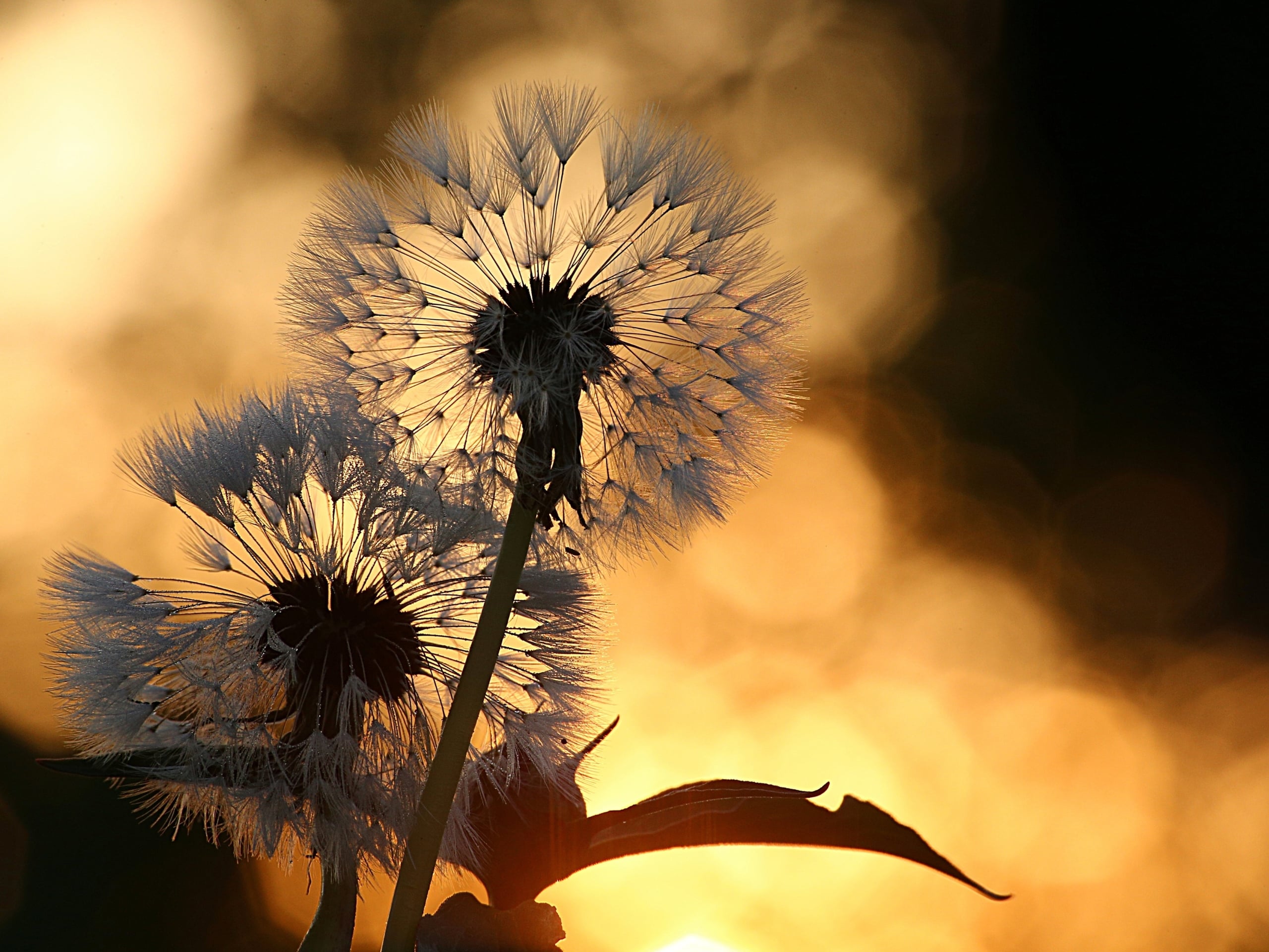 Is Family Therapy Necessary for Rehab? - Into Action Recovery Centers