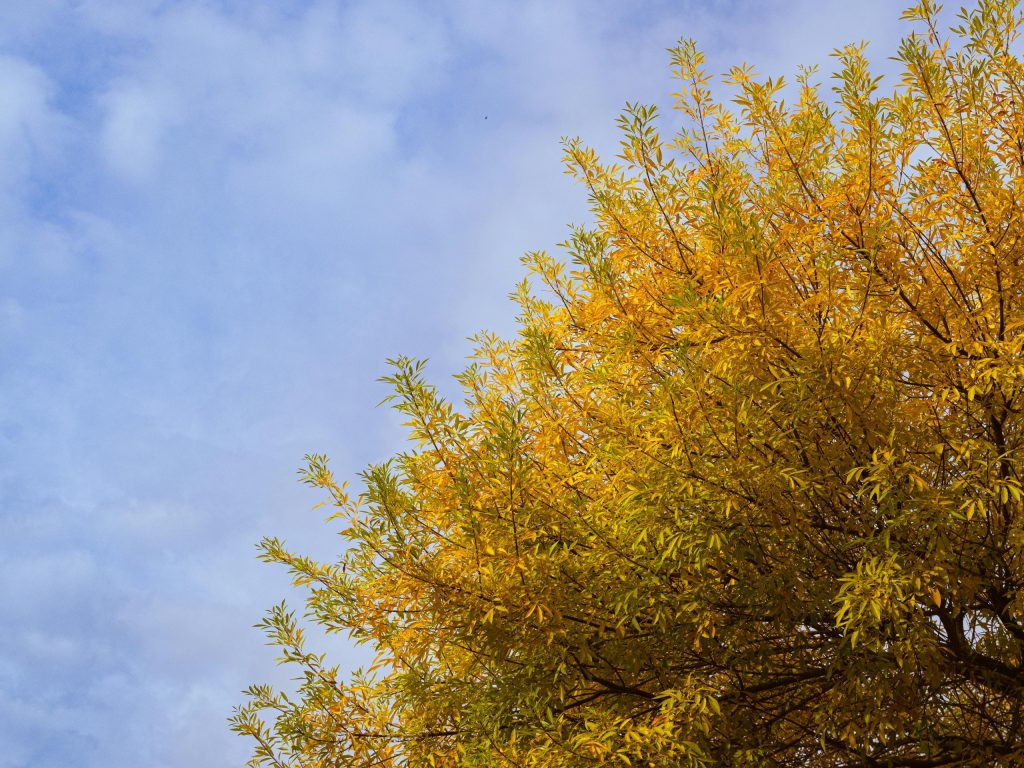 How to Support an Addict in Recovery - Into Action Recovery Centers