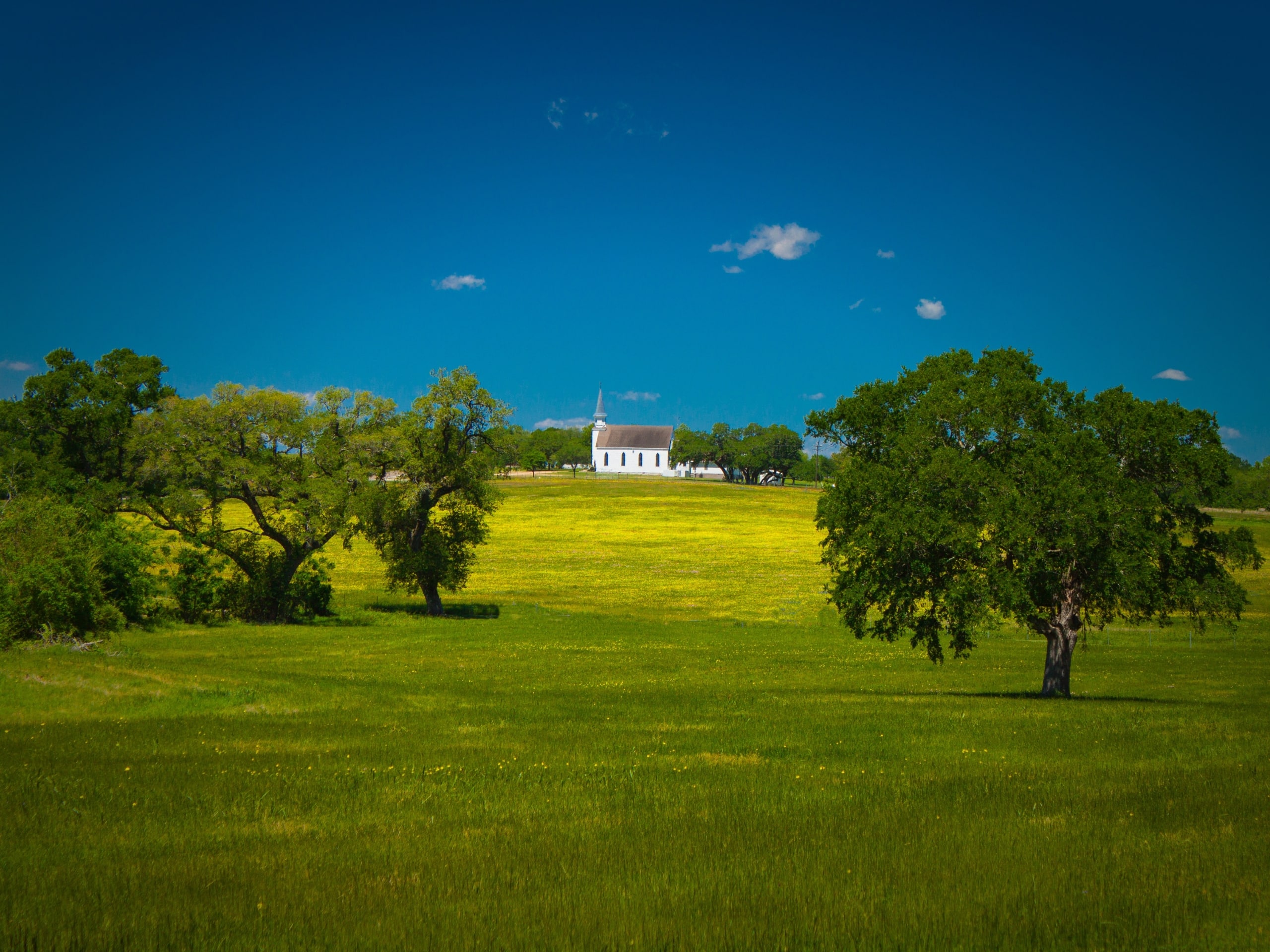How Dangerous is Drinking Lean? Dangers and Side Effects